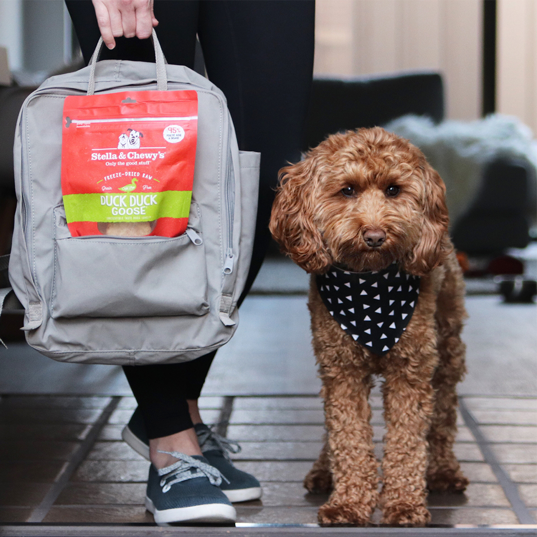 Stella & Chewy’s Dog FD Duck Duck Goose Patties14oz | Velocity