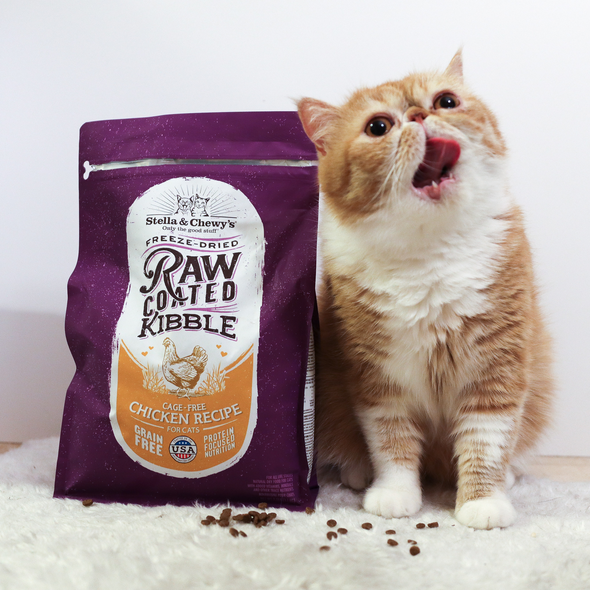 Cat-Raw Coated Kibble Chicken 1.1 Kg (2.5lb) | Velocity