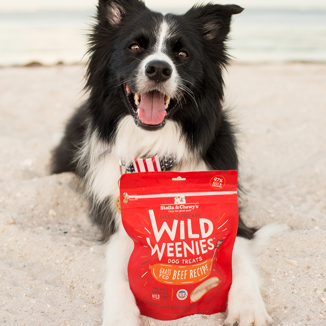 Wild Weenies – Grass-Fed Beef 3.25oz | Velocity