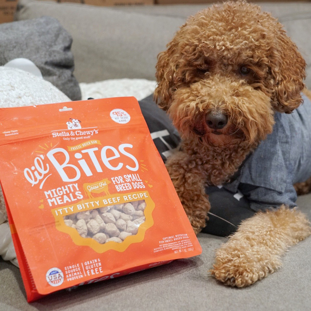 Lil Bites Itty Bitty Beef Recipe – 7 oz | Velocity