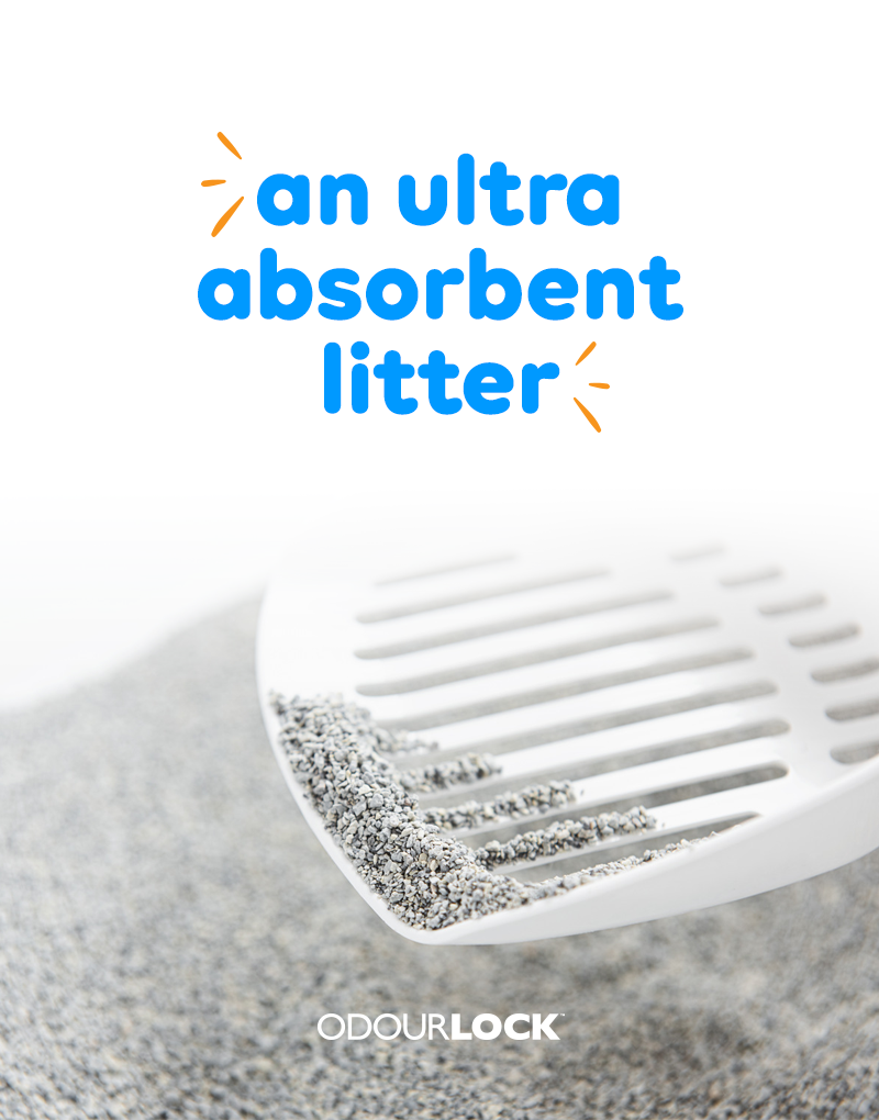 Odourlock Unscented 12Kg | Velocity